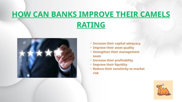 Bank Management CAMELS Rating System PPT.pptx