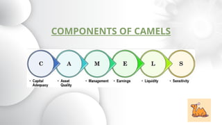 Bank Management CAMELS Rating System PPT.pptx