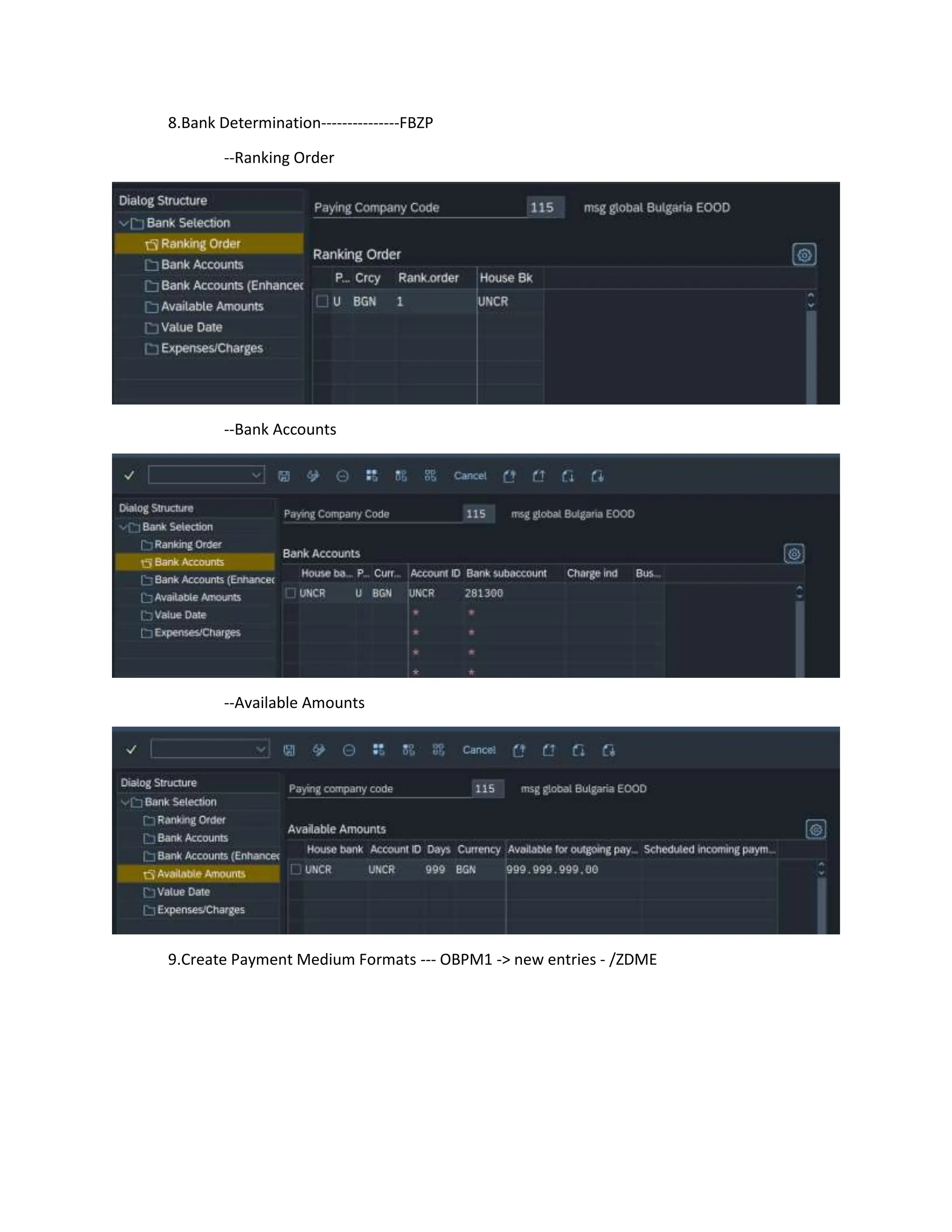 Bank Master Data, House bank, APP and DMEE.docx