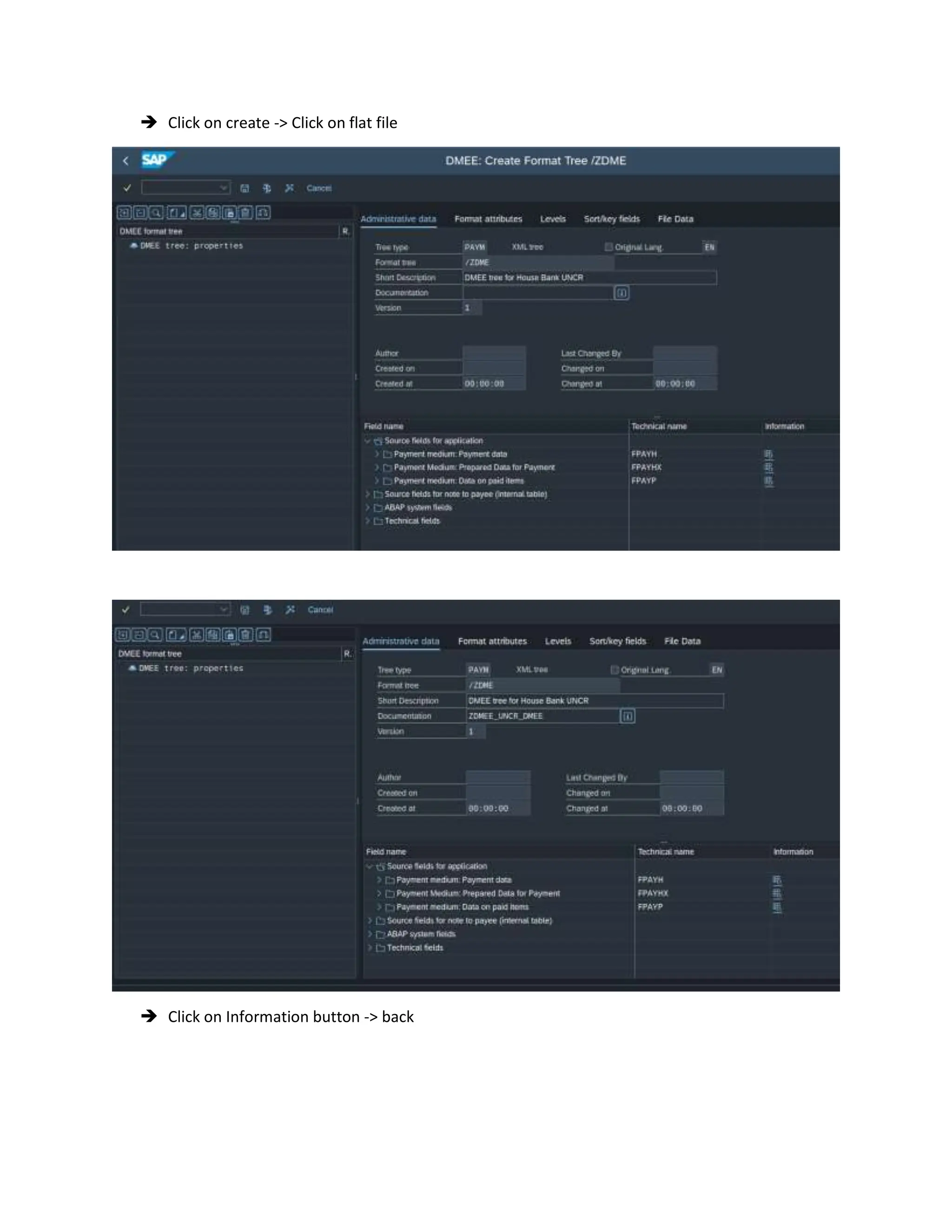 Bank Master Data, House bank, APP and DMEE.docx