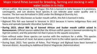 Banned fishes and fisheries regulations in India By B | PPTX