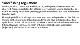 Banned fishes and fisheries regulations in India By B | PPTX