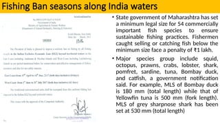 Banned fishes and fisheries regulations in India By B | PPTX