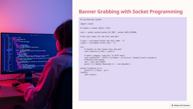 Network programming: Banner-Grabbing-Explained.pptx