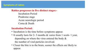 World Rabies day 2024 ims and sum 2 Banner with PPT | PPTX