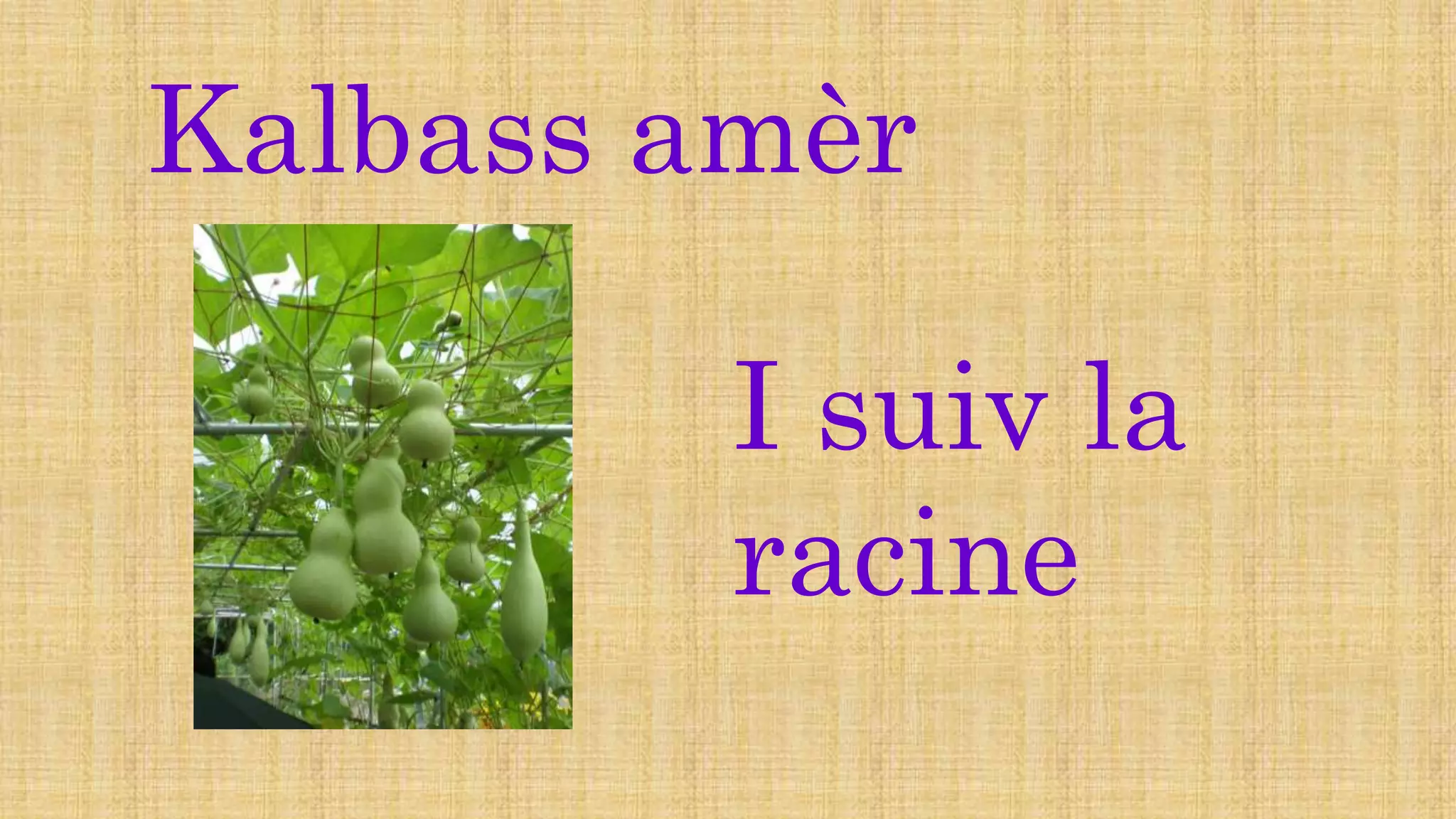 Bann proverb ek kozman 1 | PPT