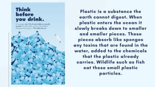 Ban plastic (1) | PDF | Environment | Science