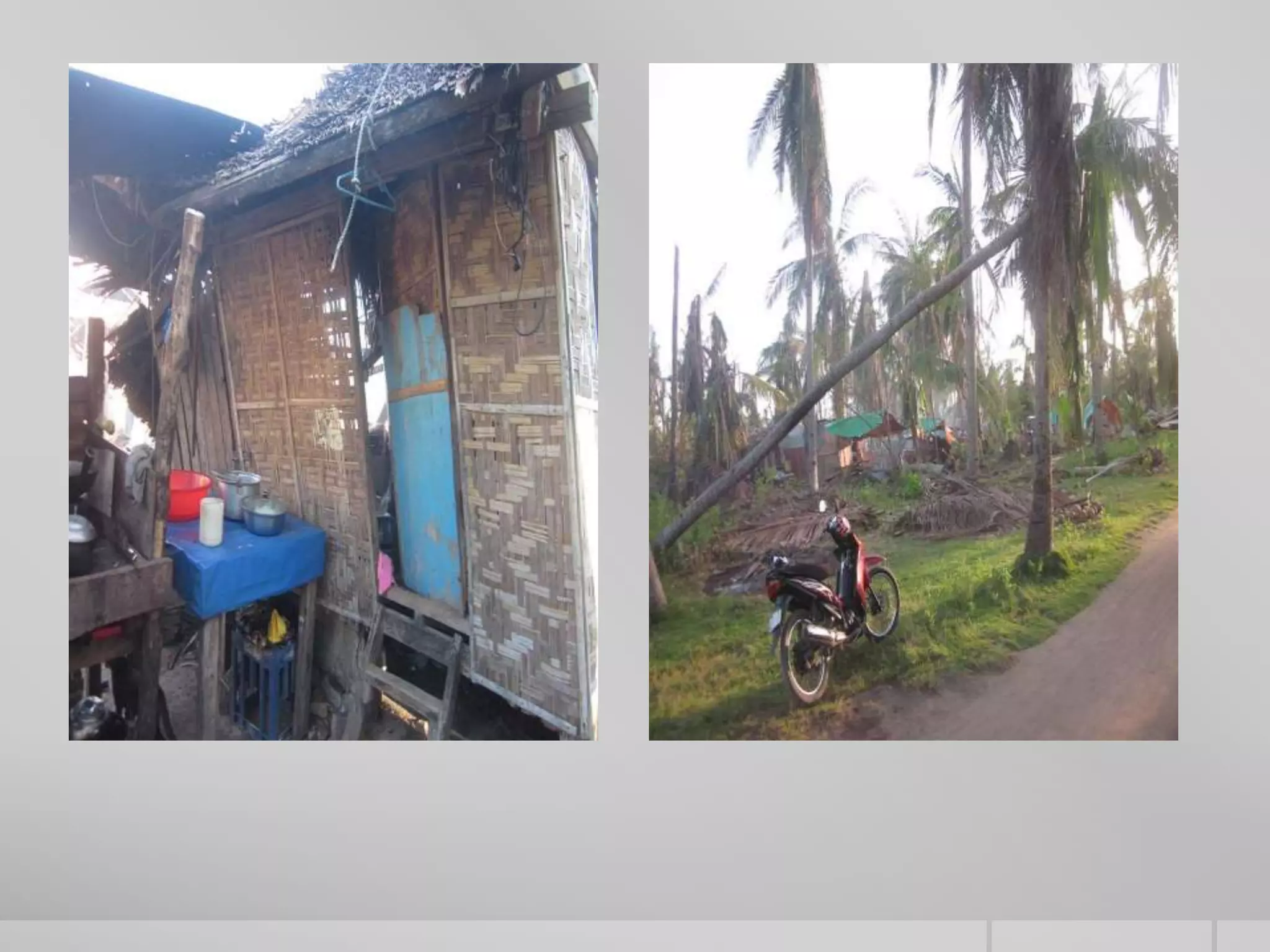 Bantayan Island after Typhoon Yolanda | PPTX