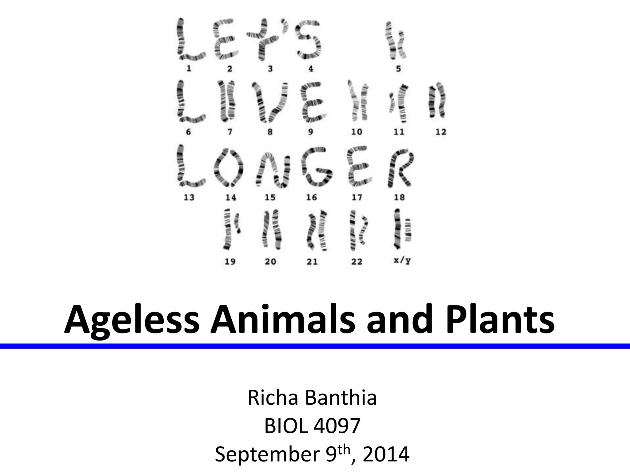 Ageless Animals and Plants | PPTX