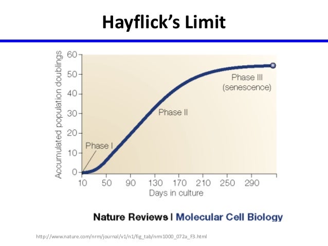 Ageless Animals and Plants