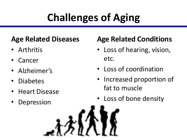 Animal age related conditions - dualbro