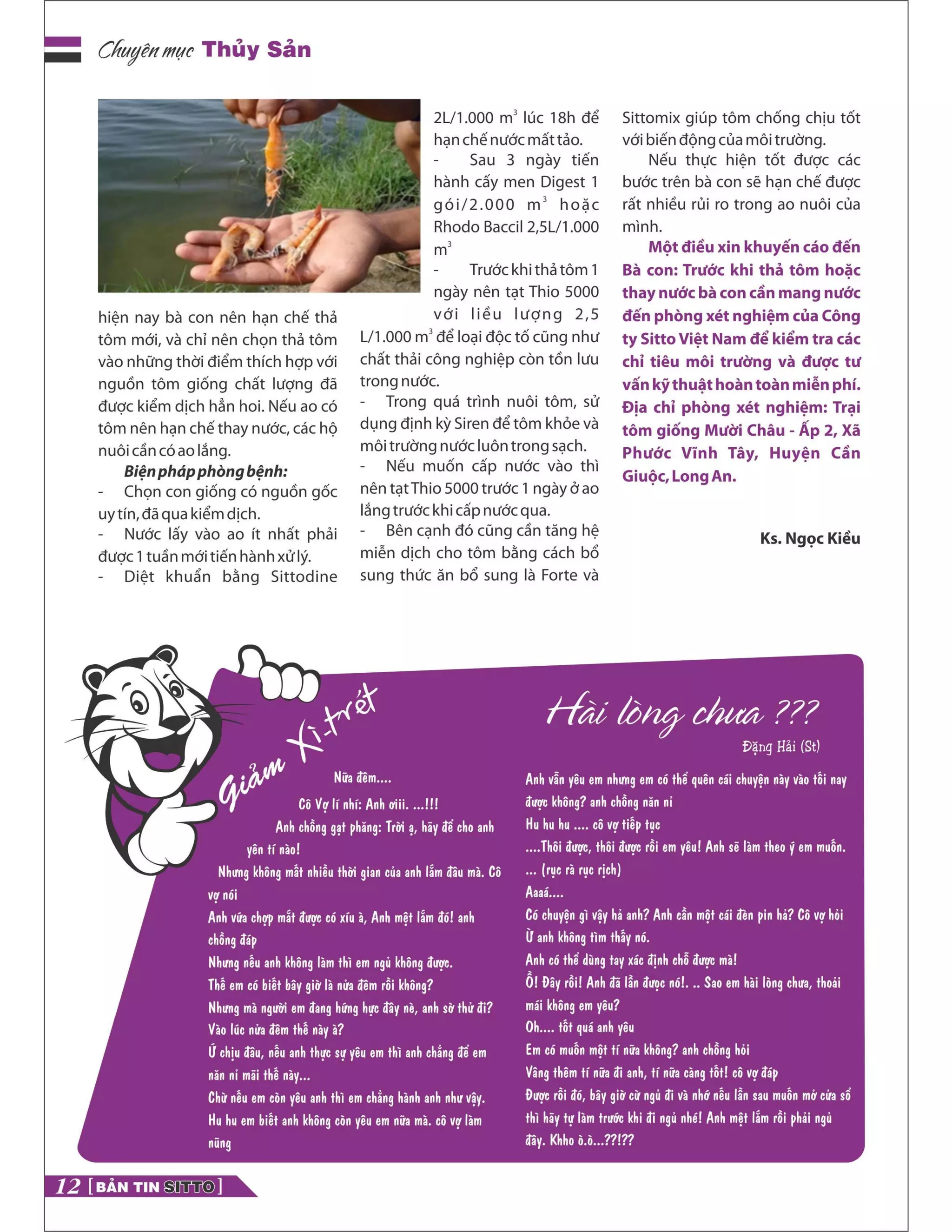 Ban tin sitto viet nam so 20 | PDF