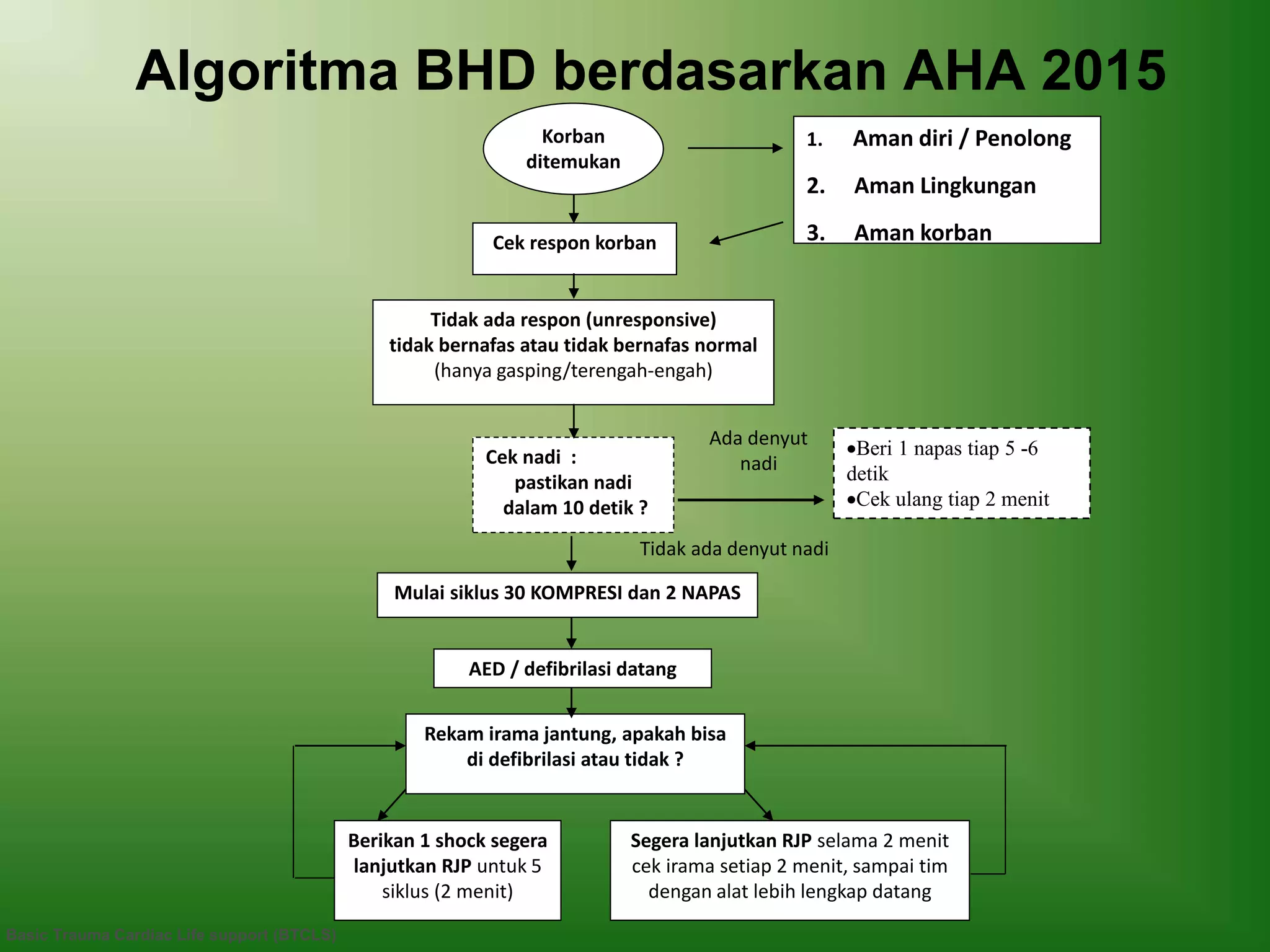 Bantuan Hidup Dasar (BHD).pptx