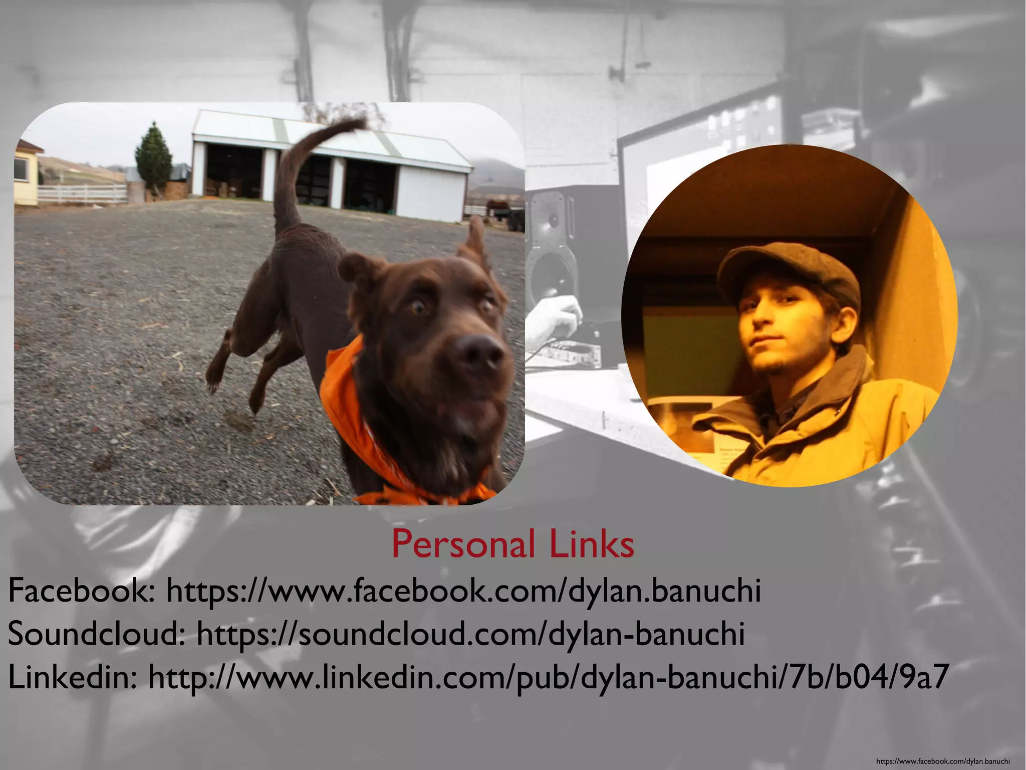 Banuchi Dylan 4.4 SellingThePPP | PPT