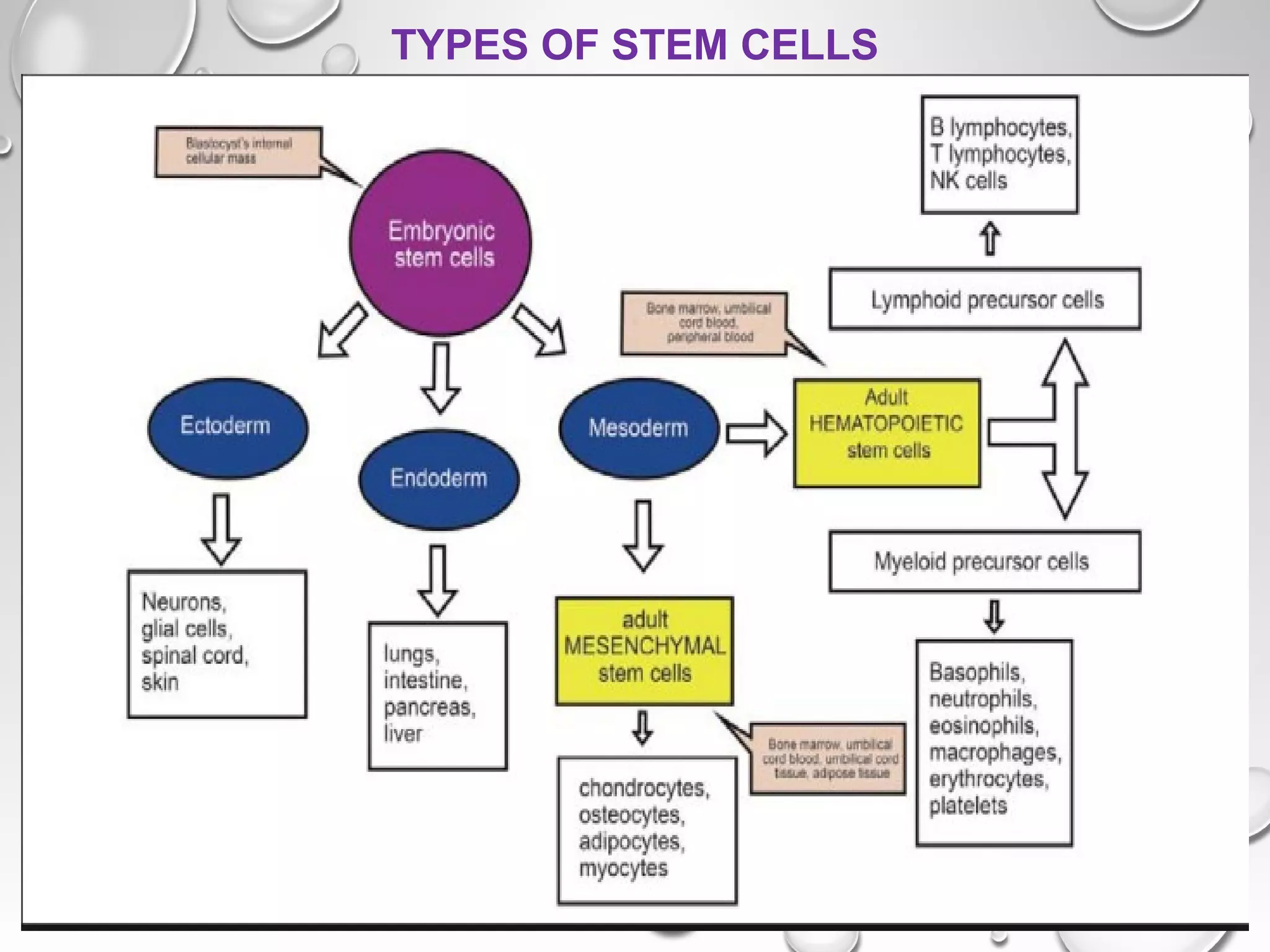 Regenerative endodontics | PPT