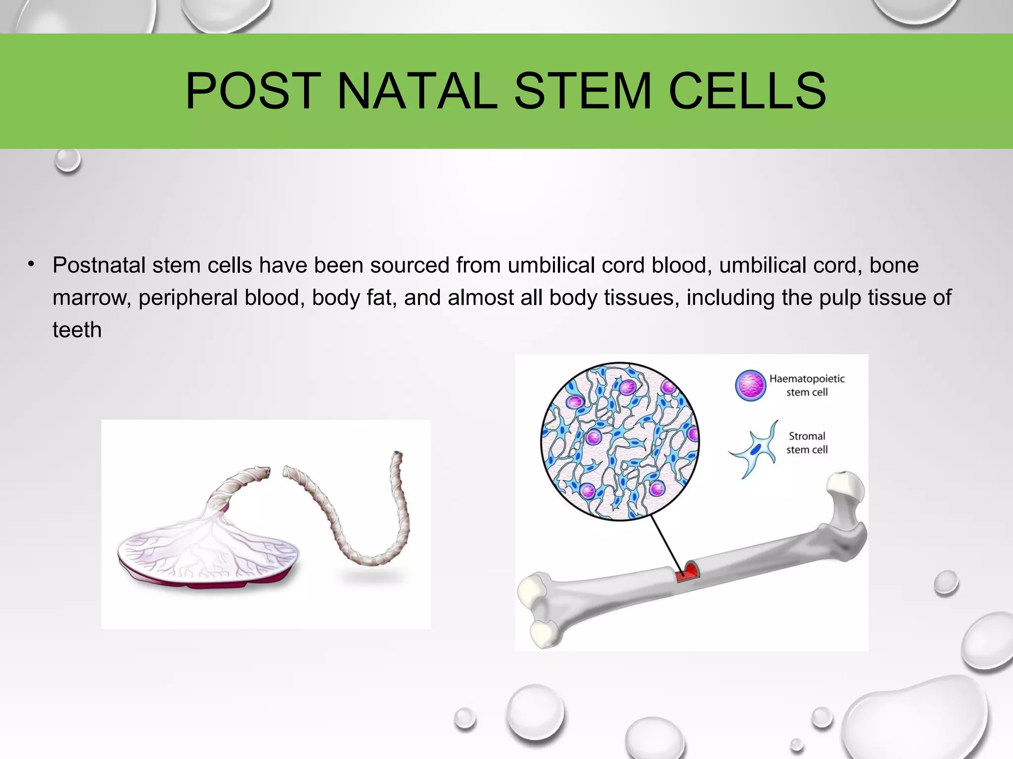 Regenerative endodontics | PPT