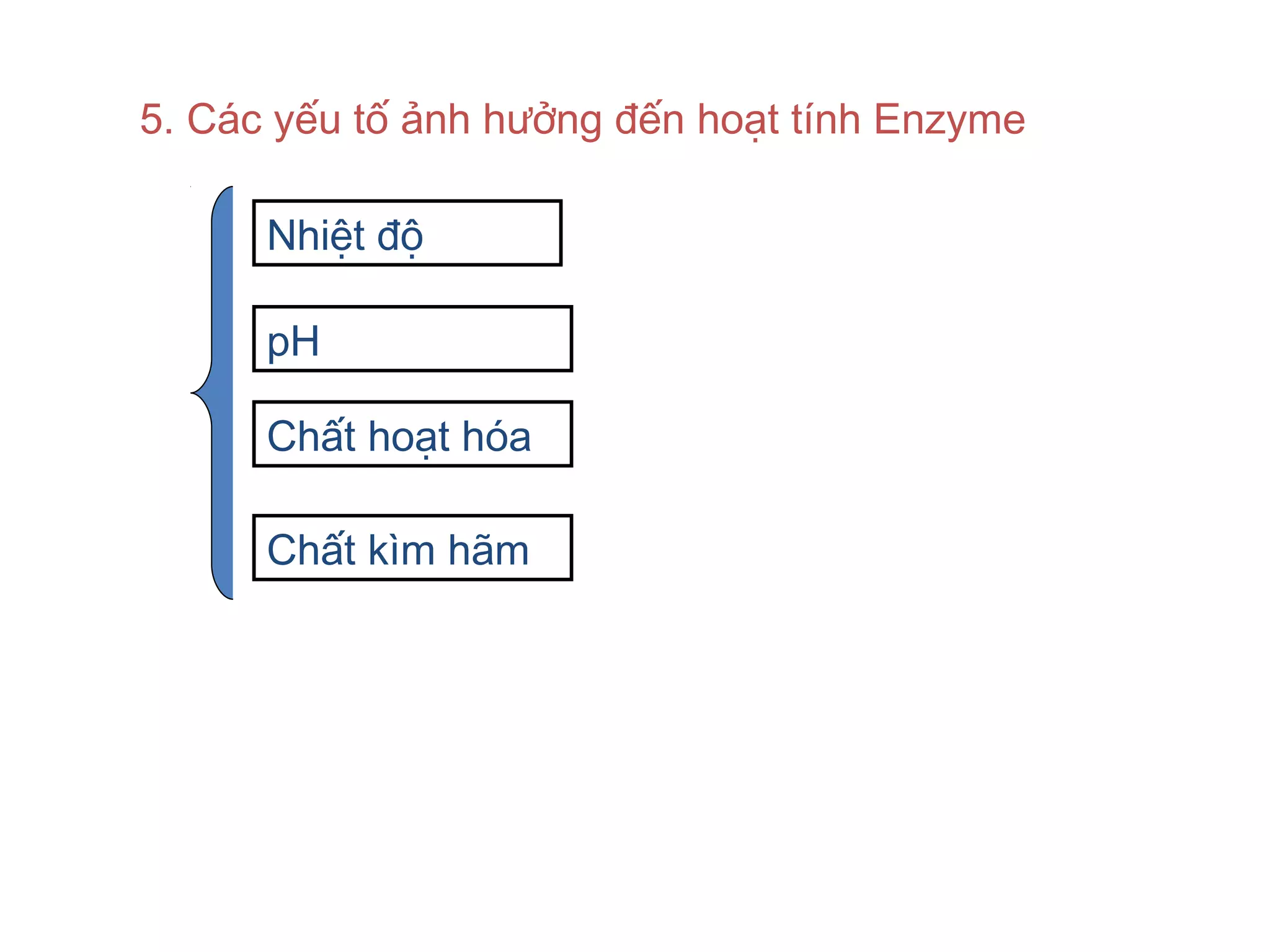 Ban ve Enzyme | PPT