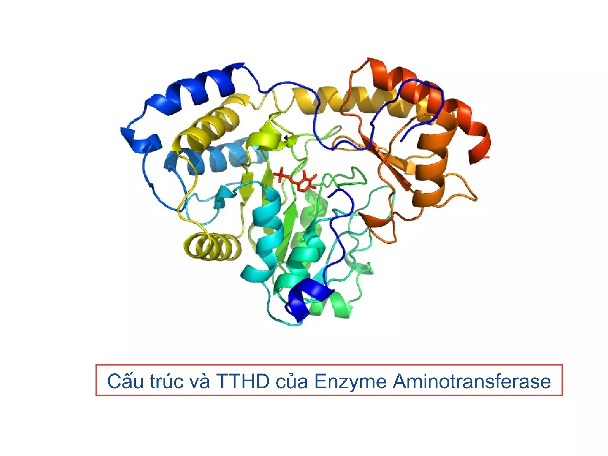 Ban ve Enzyme | PPT
