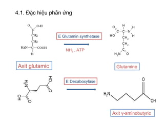 Ban ve Enzyme | PPT