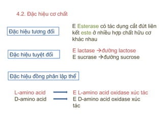 Ban ve Enzyme | PPT