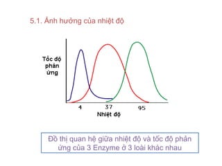 Ban ve Enzyme | PPT