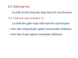 Ban ve Enzyme | PPT