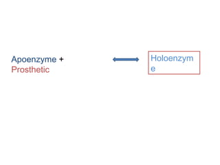 Ban ve Enzyme | PPT