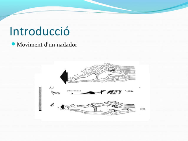 Banyador pell de tauró pujar | POT