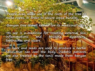Banyan forest | PPTX