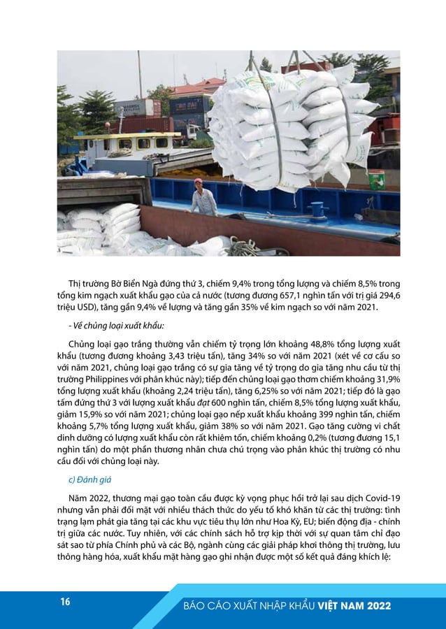 bao-cao-xuat-nhap-khau-viet-nam-nam-2022.pdf