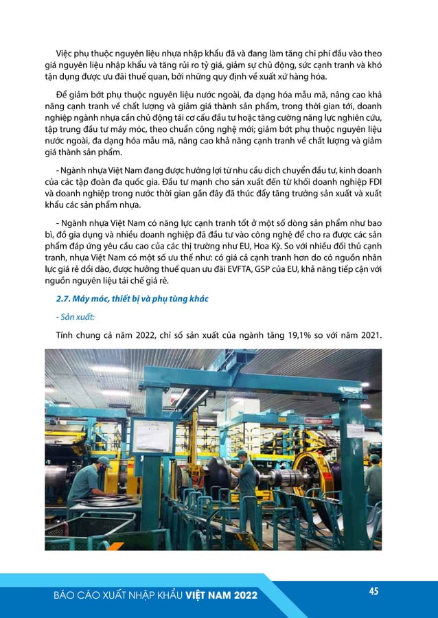 bao-cao-xuat-nhap-khau-viet-nam-nam-2022.pdf