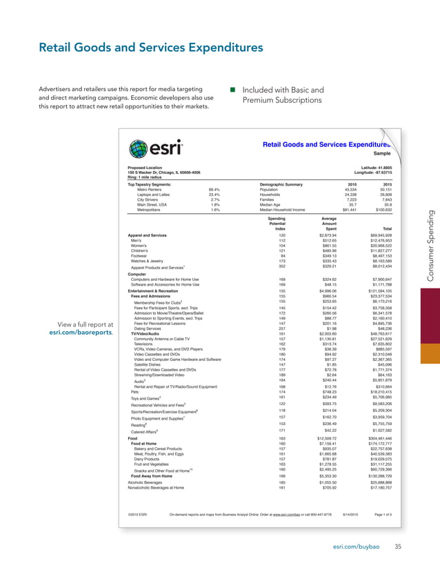 Esri Business Analyst Online: Report Reference Guide | PDF