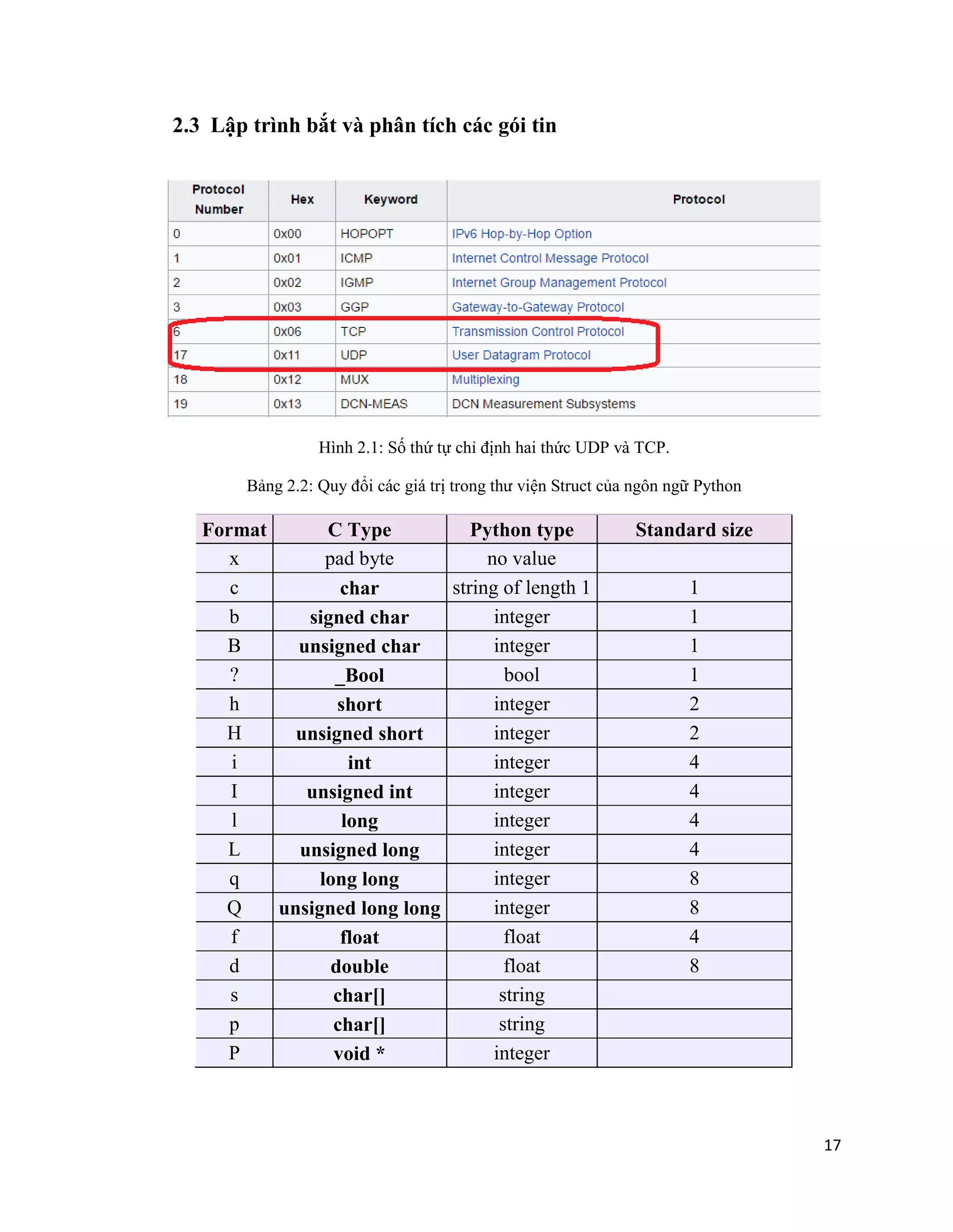 Lập trình phân tích bắt gói tin mạng bằng Python | PDF