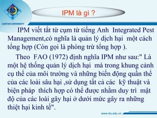 IPM Là Gì? Khám Phá Phương Pháp Quản Lý Sâu Bệnh Hợp Lý Trong Nông Nghiệp