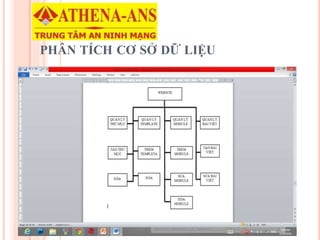 Bao cao powerpoint | PPT