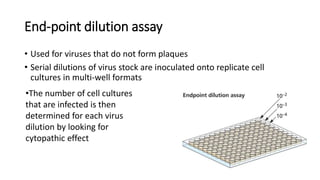 Biological activity of viruses | PPTX