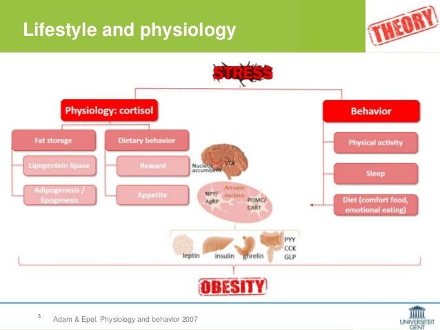 Biological correlates of stress and emotional eating in youth: cortisol ...