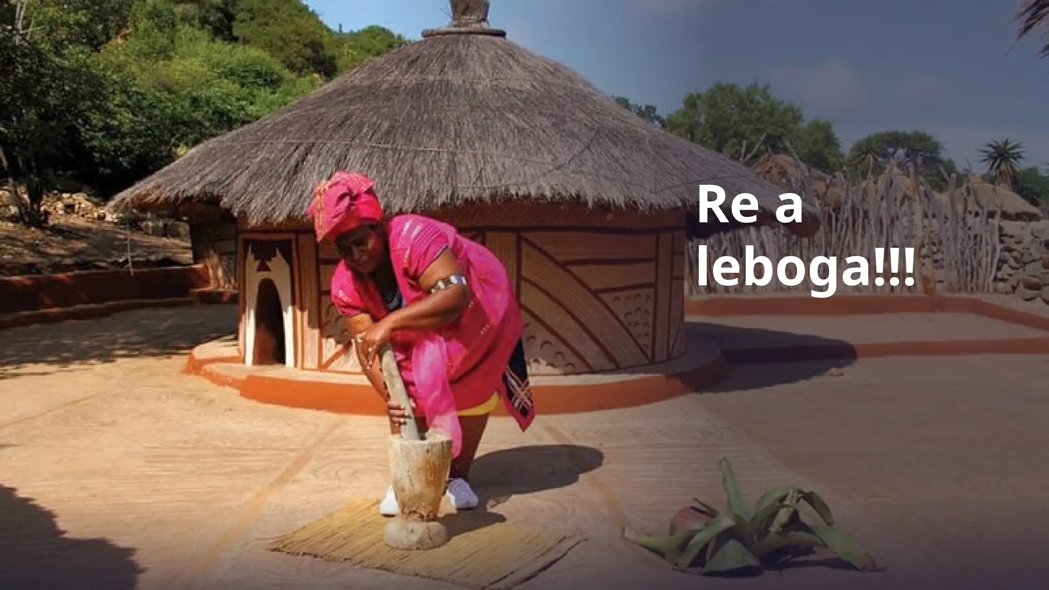 Tikologo ka ga Legokolodi la marega le ka ga Bapedi. | PPTX