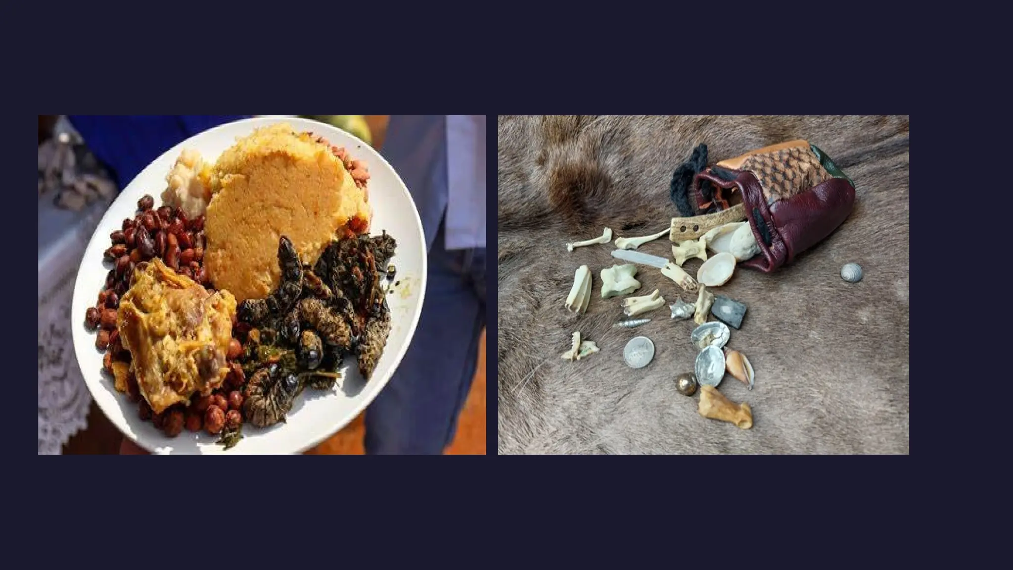 Tikologo ka ga Legokolodi la marega le ka ga Bapedi. | PPTX