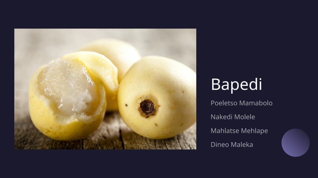 Tikologo ka ga Legokolodi la marega le ka ga Bapedi. | PPT