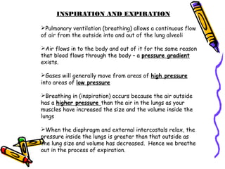 BA&P Respiratory | PPT