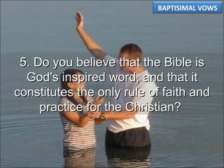 Baptismal vows-standard-13-1223153130236820-9 | PPT