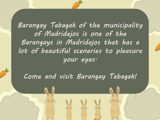 Baragay Tabagak-Beautiful Places.pptx