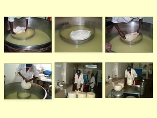 Baraka Milk Processing | PDF