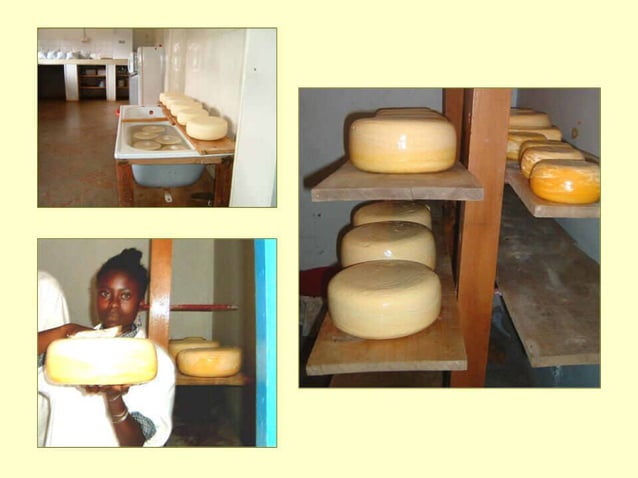 Baraka Milk Processing | PPT