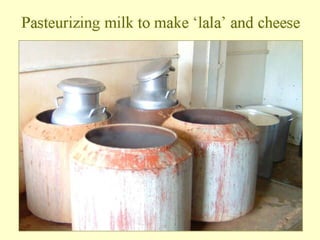 Baraka Milk Processing | PPT