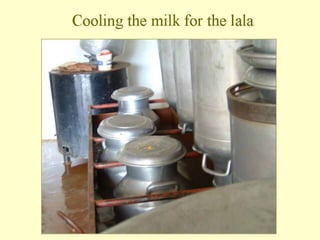 Baraka Milk Processing | PDF