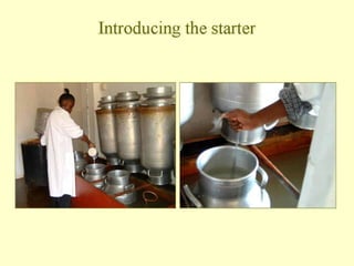 Baraka Milk Processing | PDF