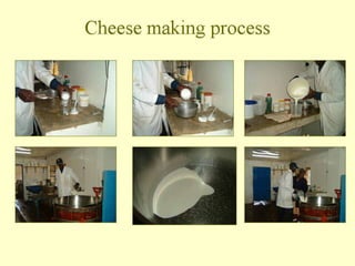 Baraka Milk Processing | PDF