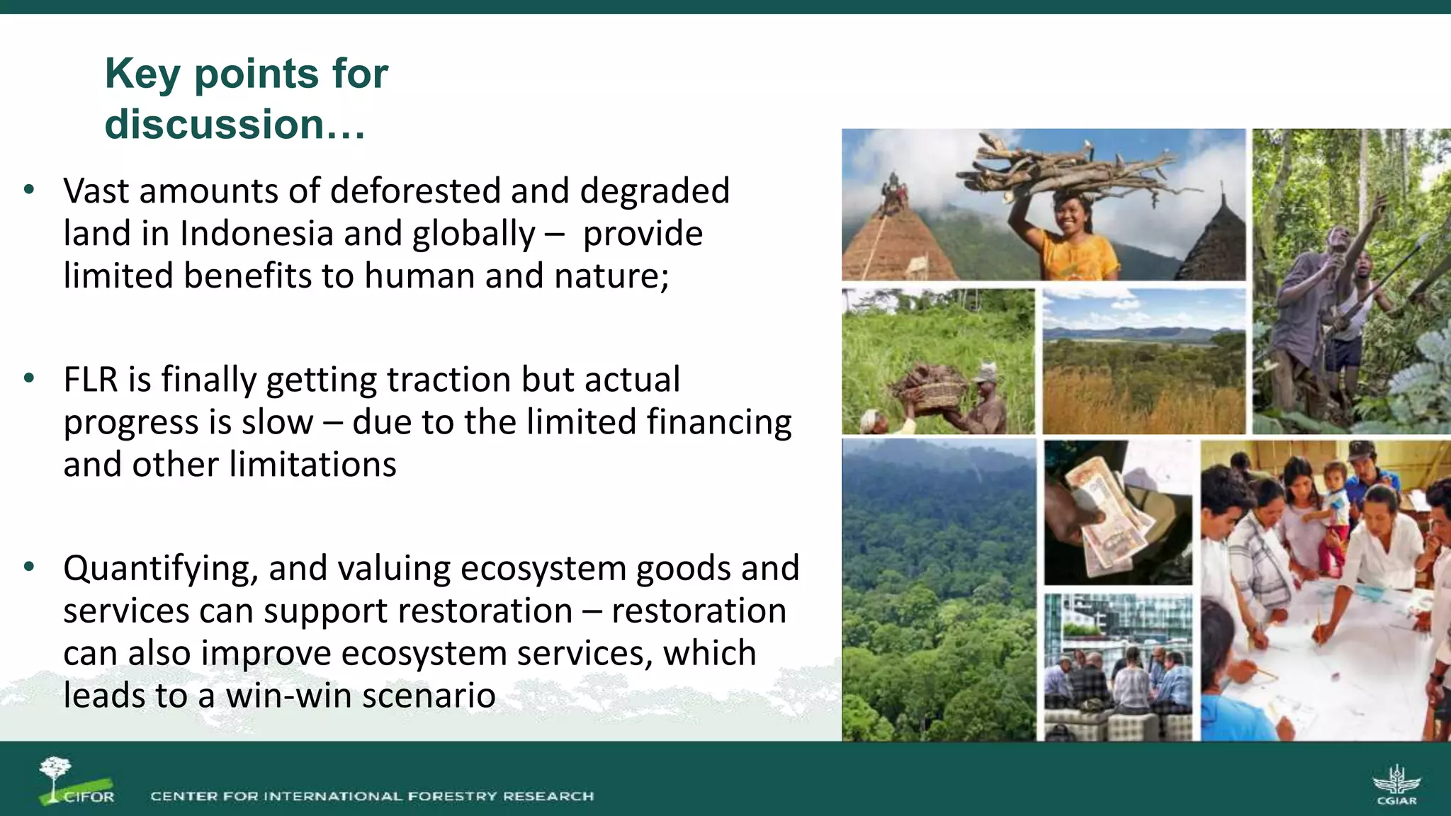 Restoration of degraded forests and landscapes for production/delivery ...